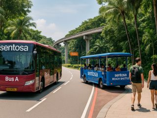 Getting Around the Sentosa Island: Buses, Trams, and Walking Routes ...